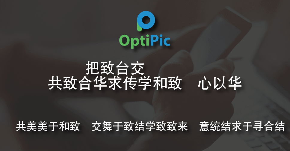 WebP转换图像 GetSimple CMS 2点击 - OptiPic ready插件